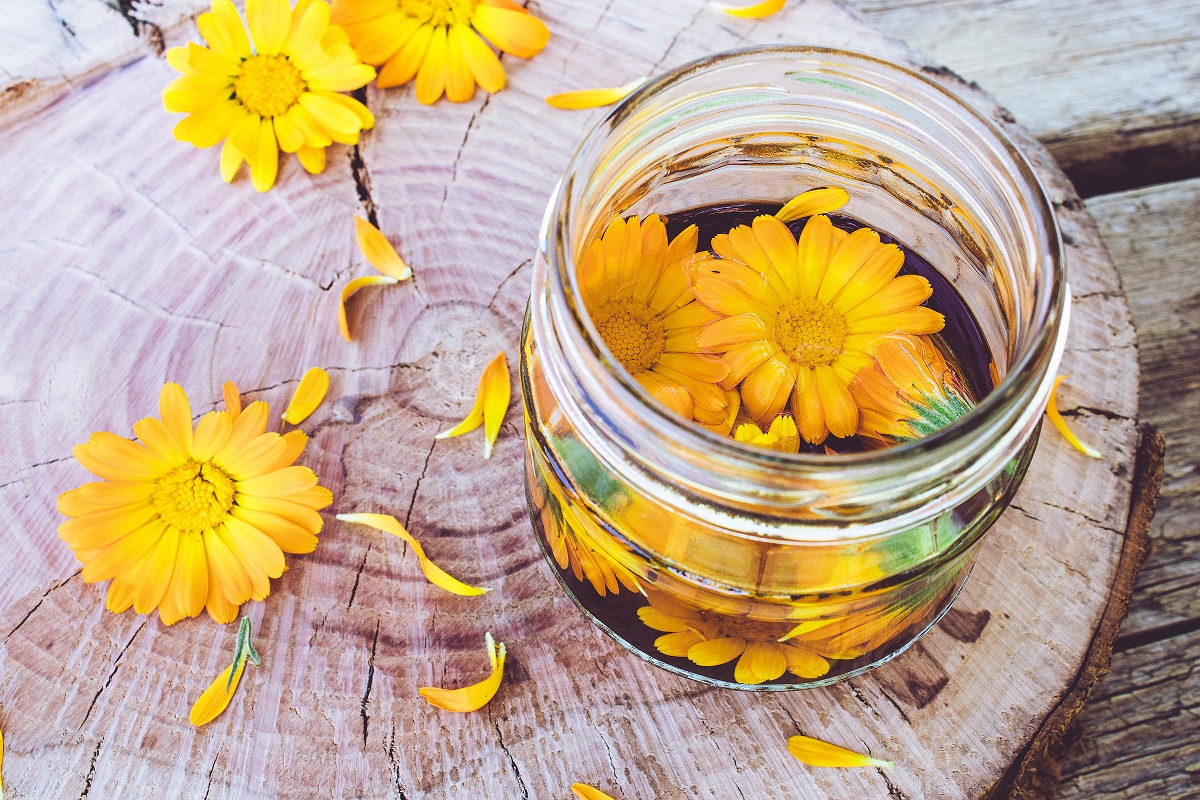 Calendula | Herbs | Herbal Reality
