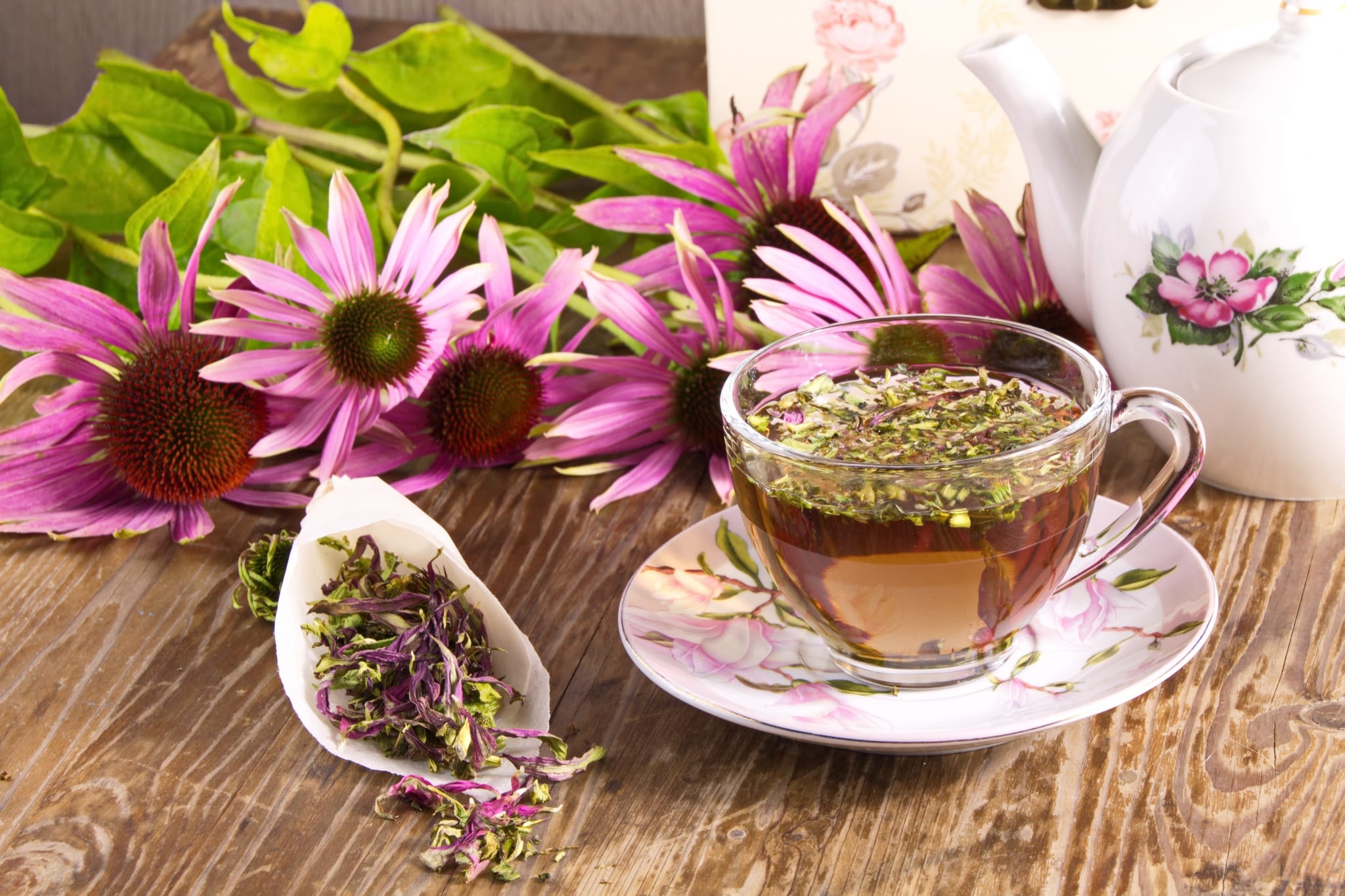 Echinacea (Echinacea purpurea): Benefits, Uses, Side Effects & Research ...