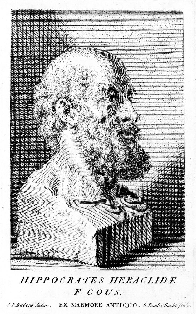 Exploring the ancient history of Western Herbal Medicine | Western ...