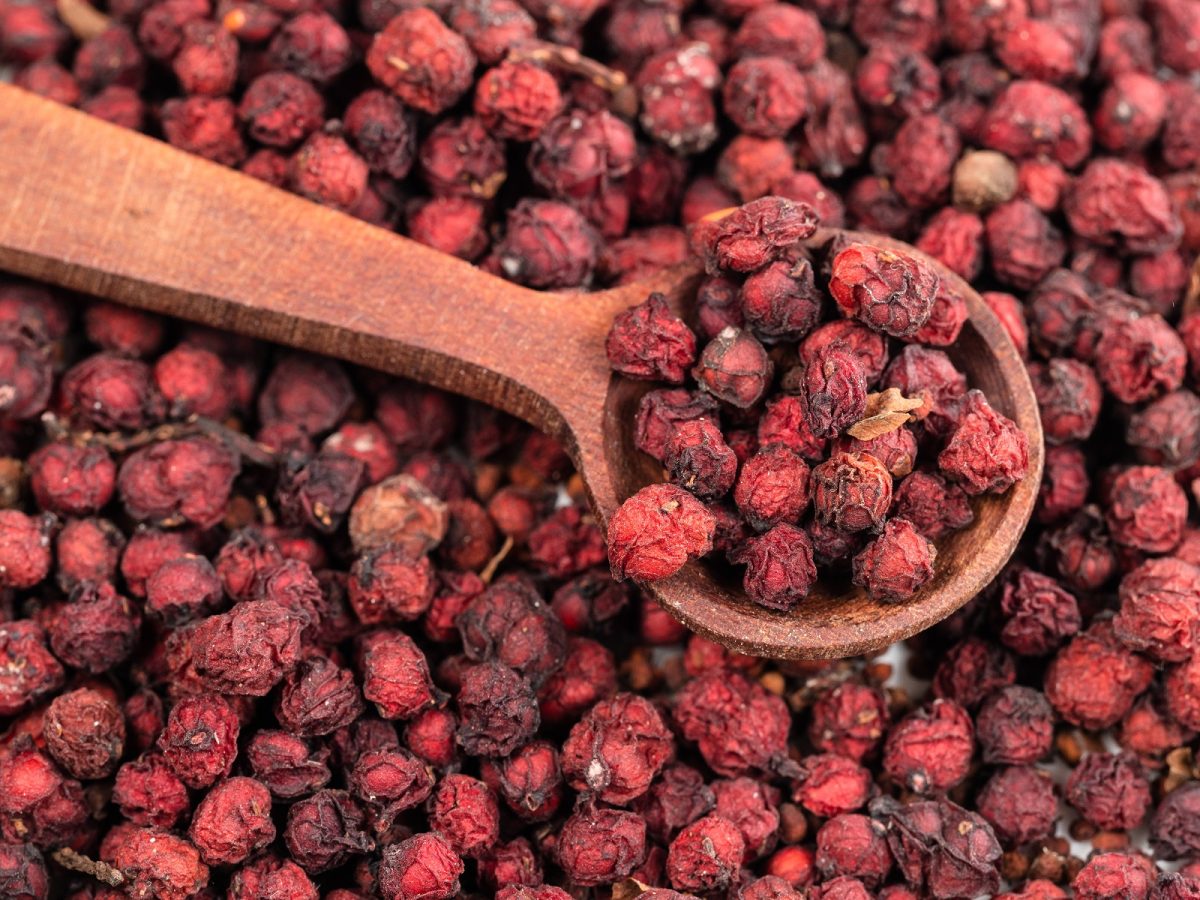 Schisandra | Herbs | Herbal Reality