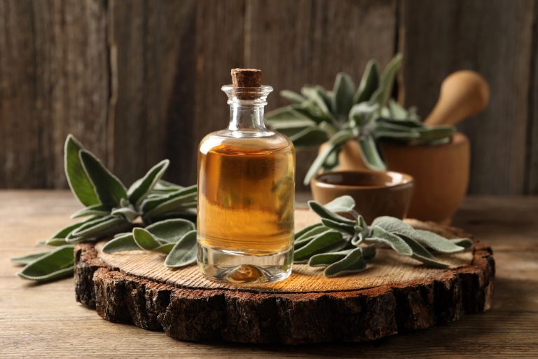 Sage (Salvia officinalis): Benefits, Uses, Side Effects | Herbal Reality