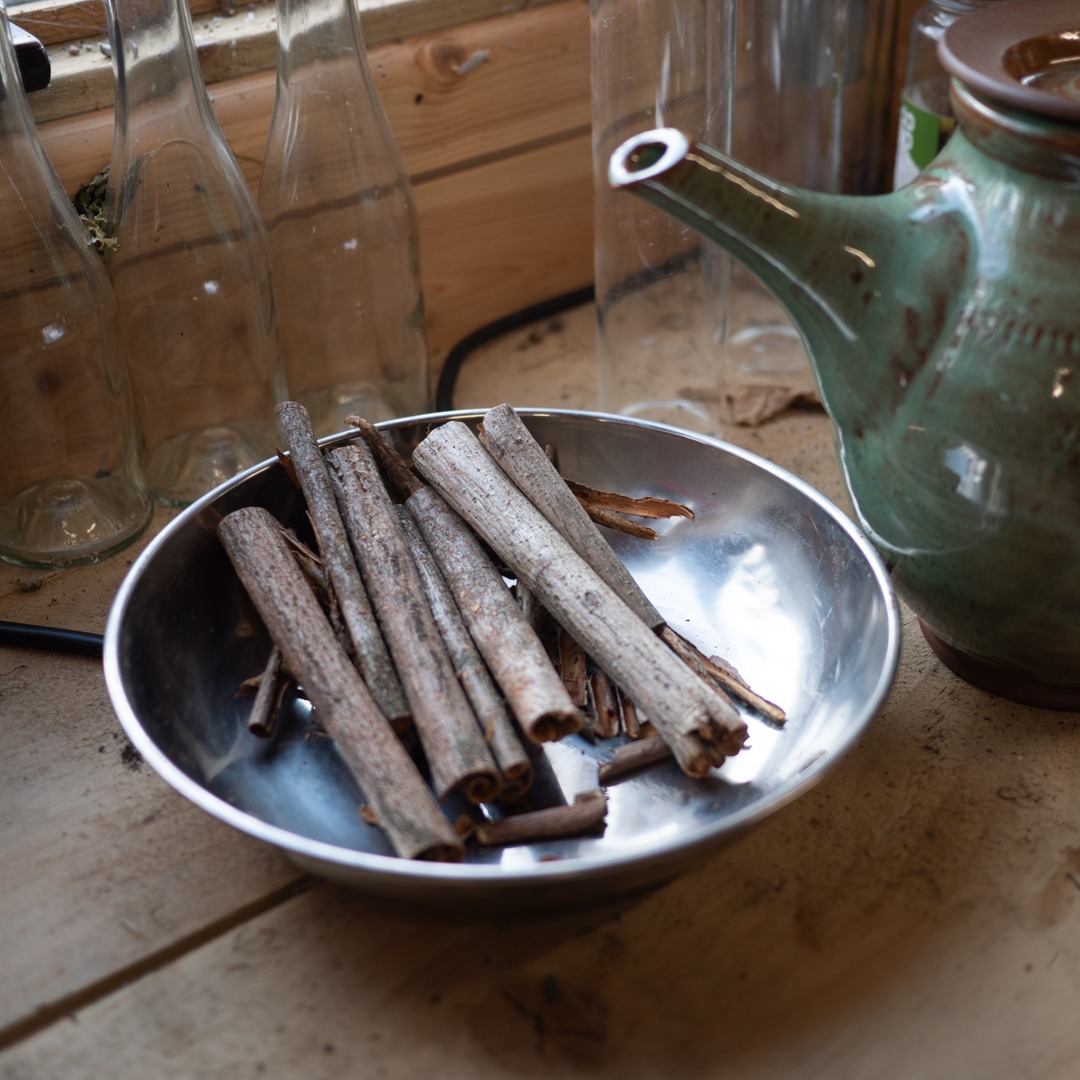 Cramp bark | Herbs | Herbal Reality