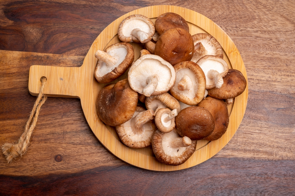 Shiitake Mushroom (Lentinula edodes): Benefits, Safety, Uses | Herbal ...