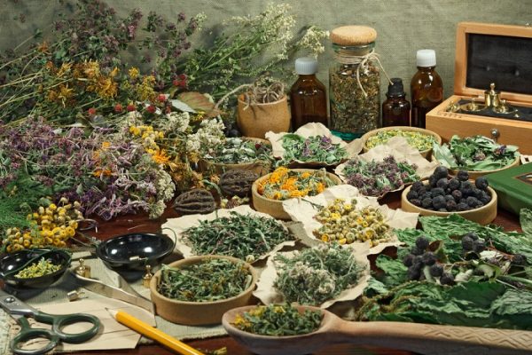 A guide for herb-drug interactions | Safety | Herbal Reality
