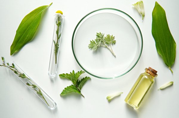 How can we reap the health benefits of herbs? Let’s talk about research ...