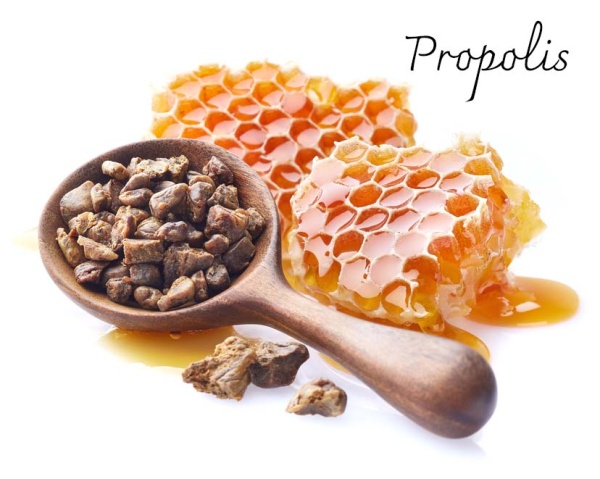 Propolis | Herbs | Herbal Reality