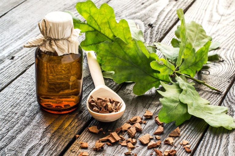 Oak | Herbs | Herbal Reality