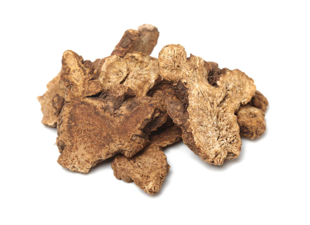 Atractylodes | Herbs | Herbal Reality