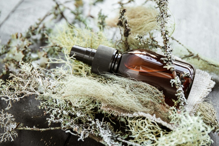 Usnea (Usnea barbata): Benefits, Uses, Safety | Herbal Reality
