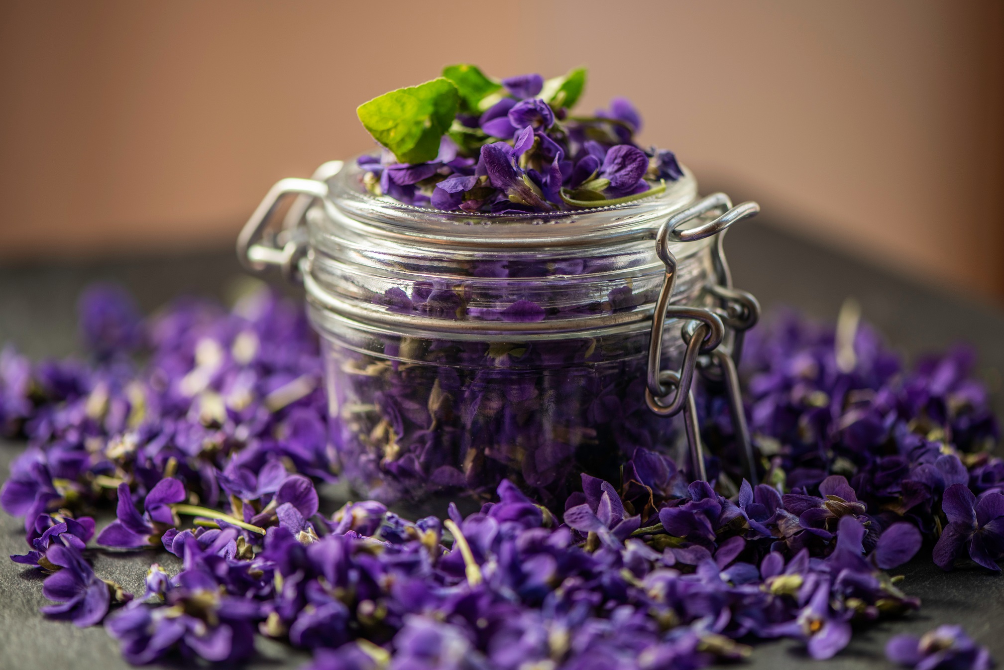 Violets | Herbs | Herbal Reality