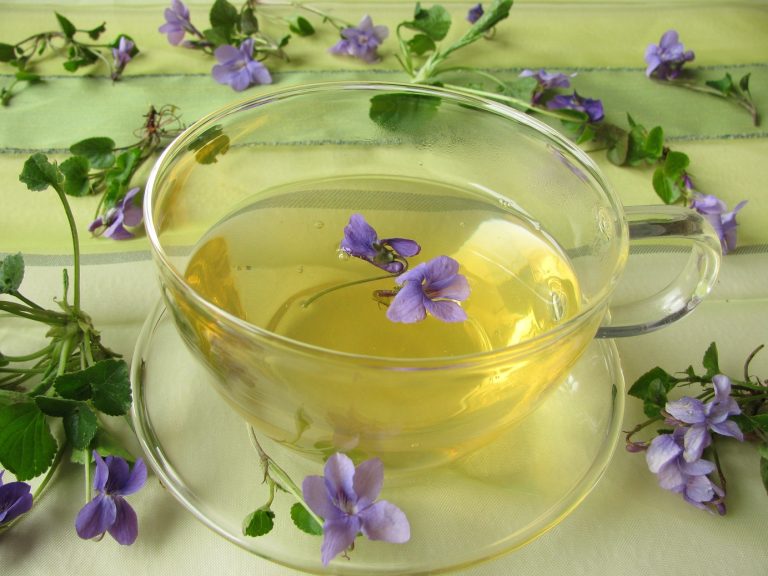 Violets (Viola odorata): Benefits, Safety, Uses | Herbal Reality