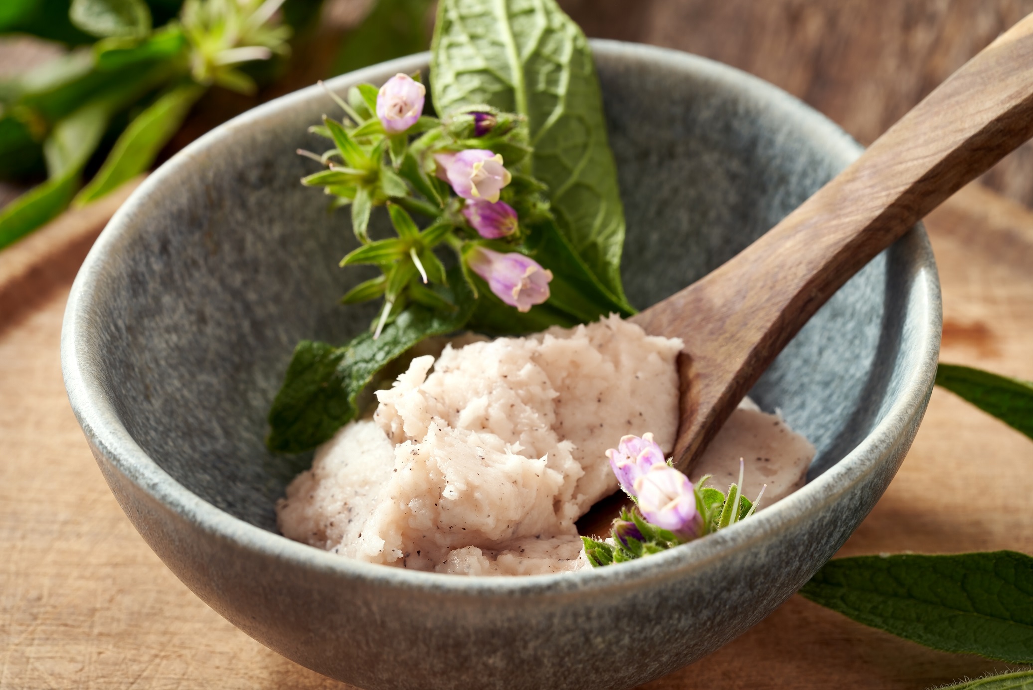 Comfrey (Symphytum officinale): Benefits, Uses, Safety | Herbal Reality