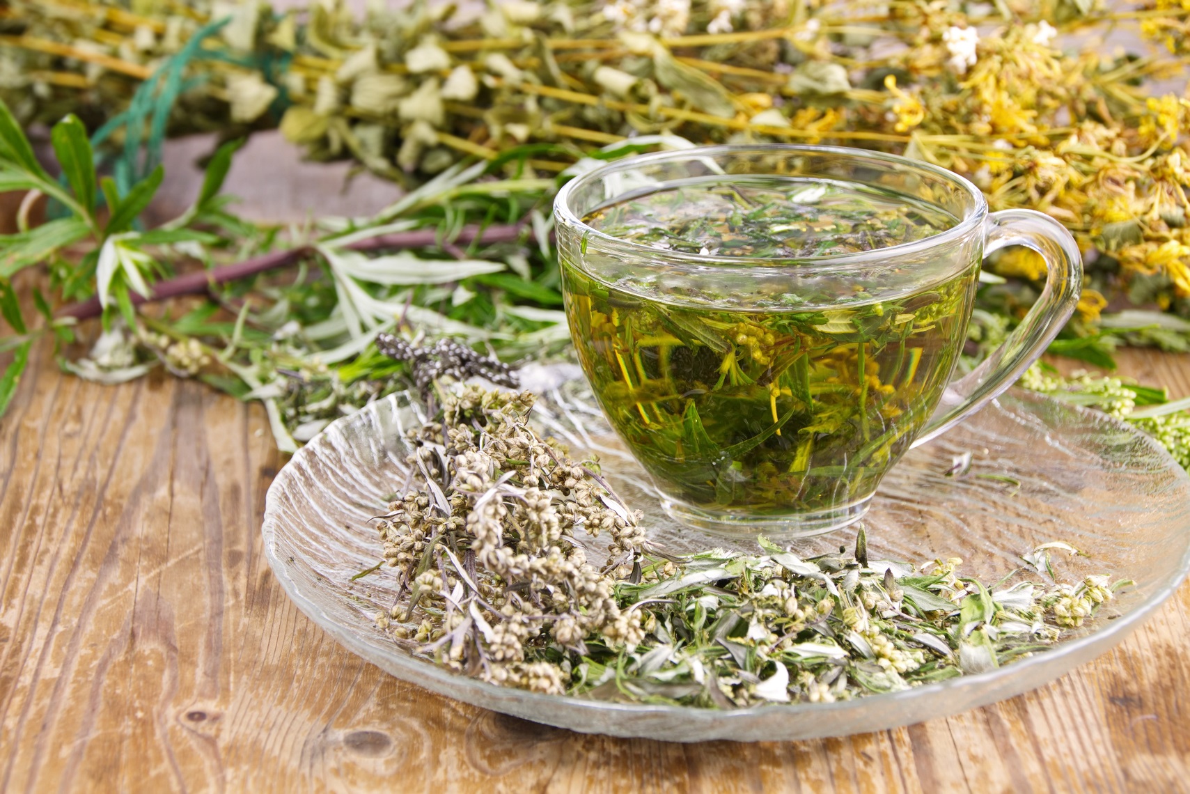 Wormwood (Artemisia absinthium): Benefits, safety, side effects ...