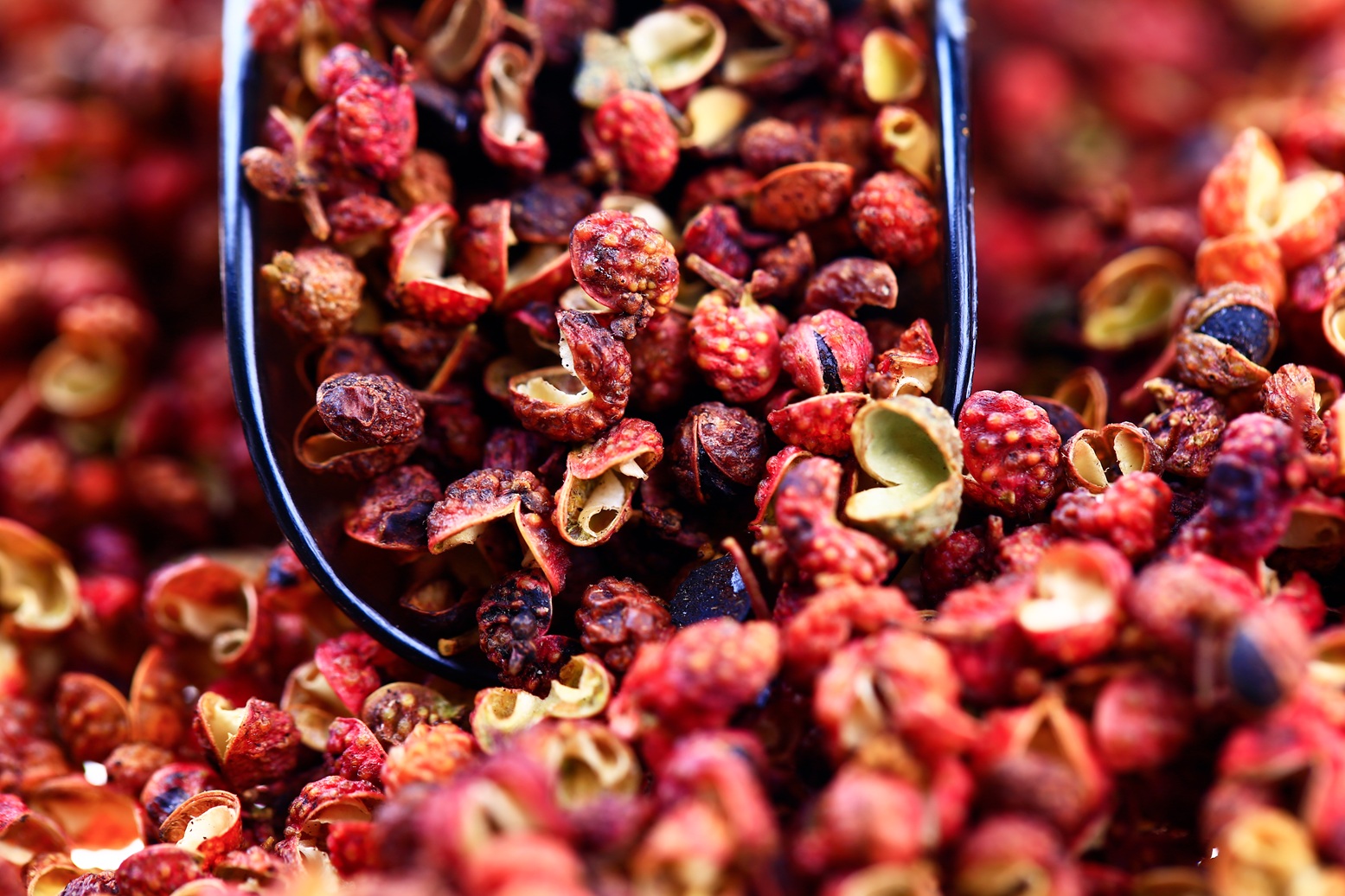 Prickly ash | Herbs | Herbal Reality