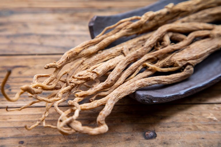 Codonopsis | Herbs | Herbal Reality