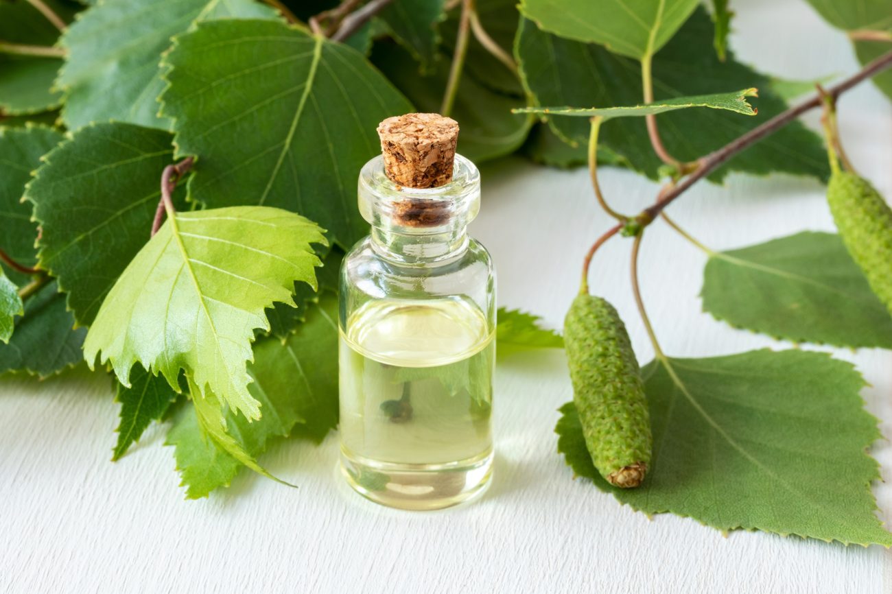Birch: Benefits, Medicinal Uses & Research | Birch Monograph | Herbal ...