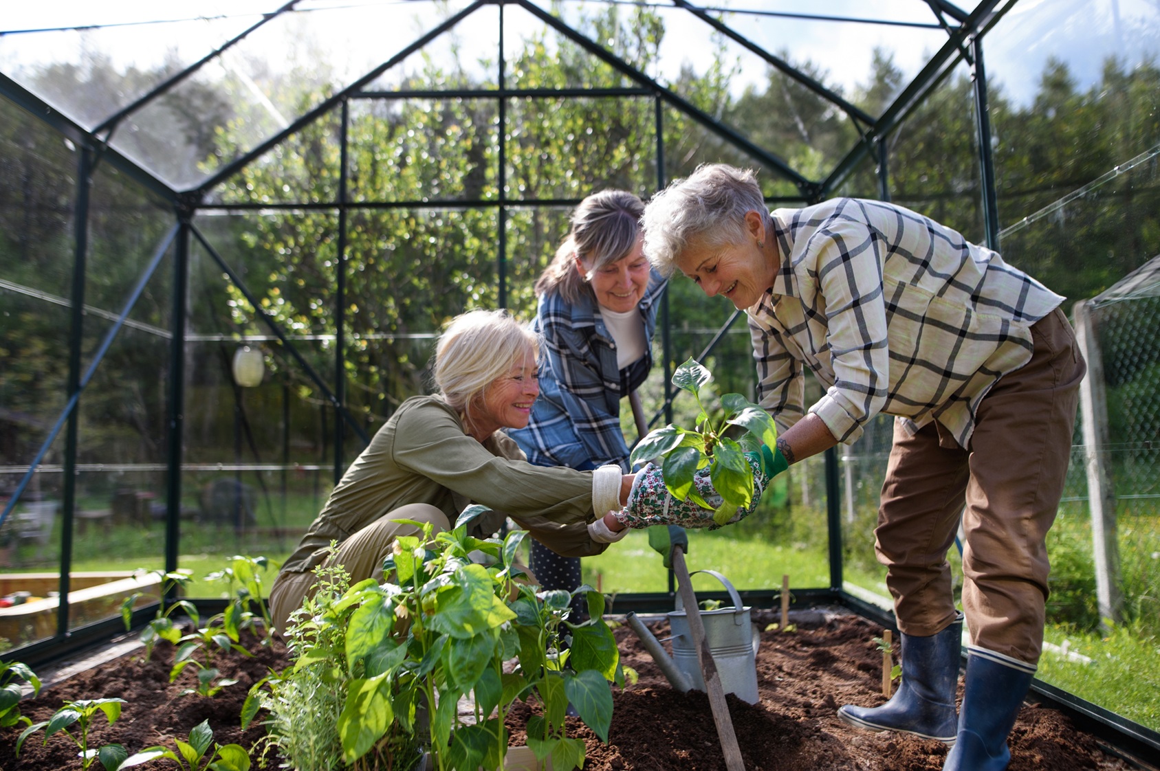 Community gardens: How growing herbs together fosters connection and ...