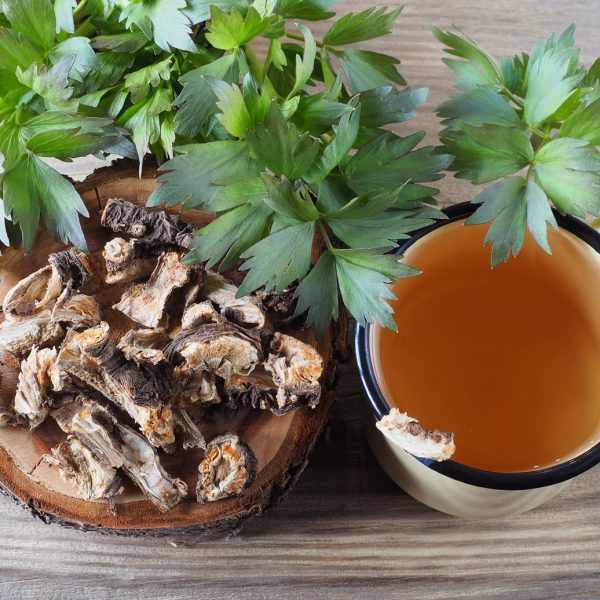 Lovage Levisticum Officinale Benefits Safety Uses Herbal Reality